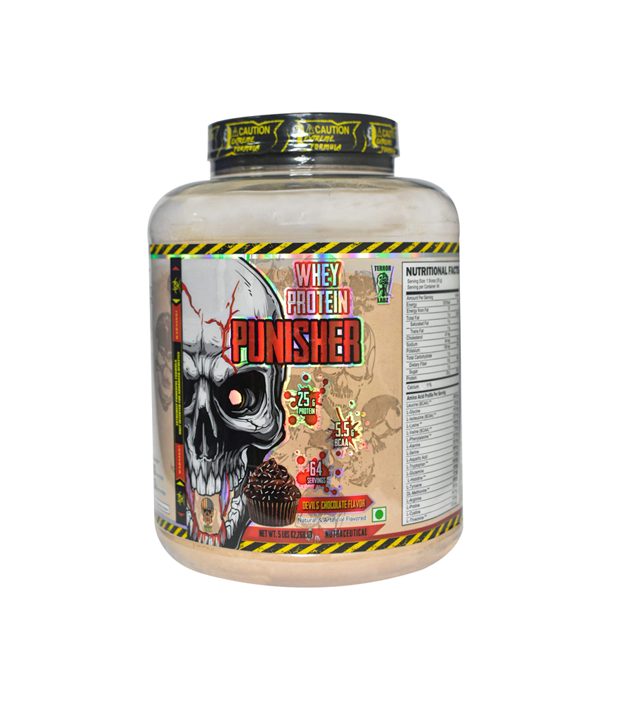 Buy Terror Labz Whey Protein Punisher - Free Delivery in Pakistan ...